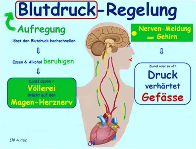 Ärger ist eine besonders autoaggressive Erregung ! - Institut für ...